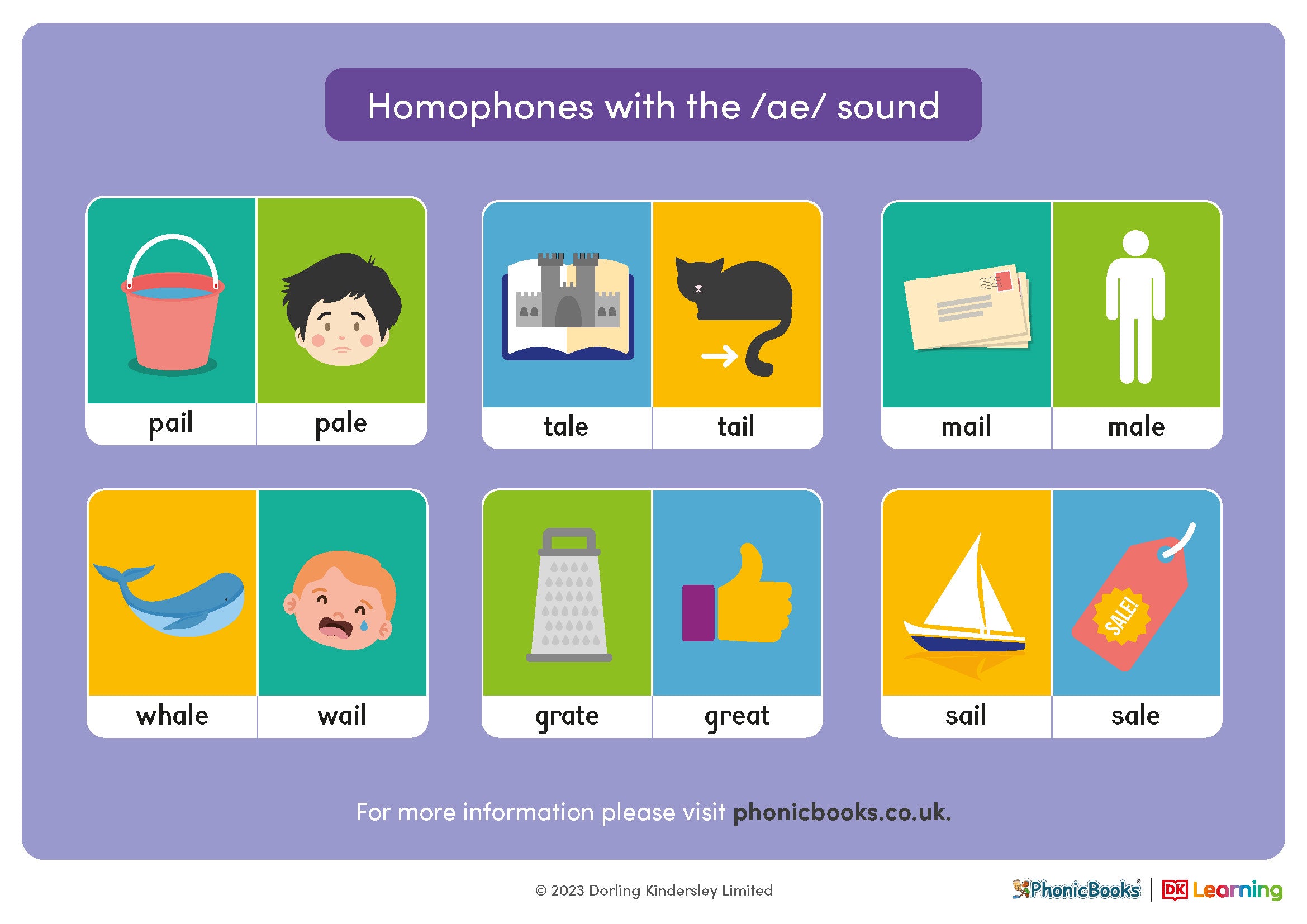 Homophones with the /ae/ sound – Phonic Books UK