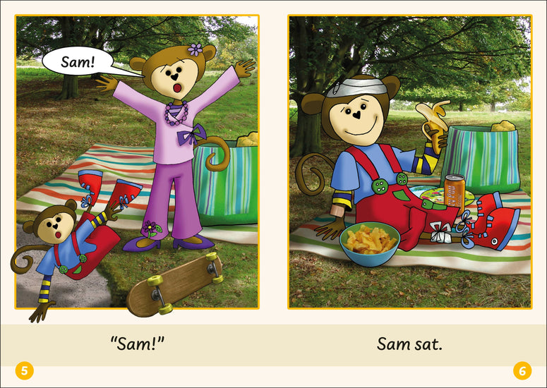 Dandelion Readers Set 1 Units 1-10 – Phonic Books UK