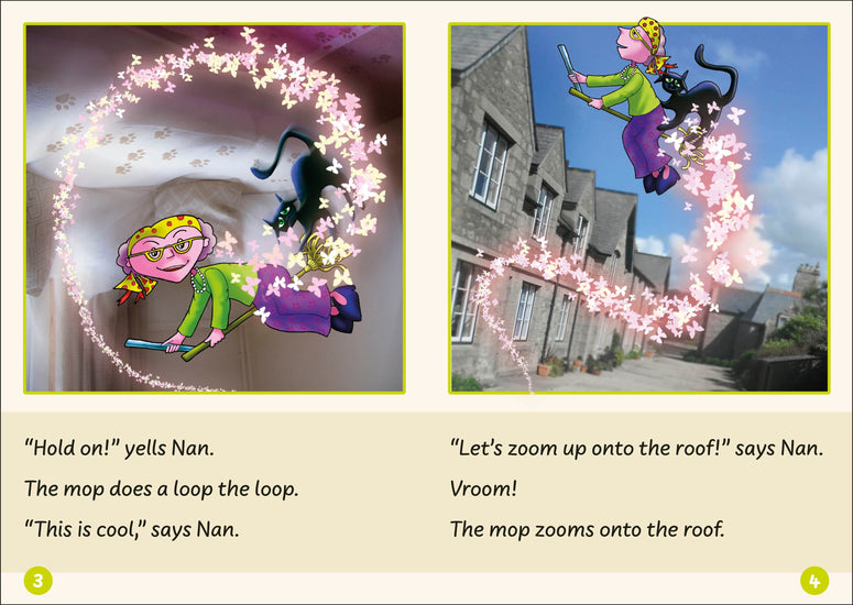 Dandelion Readers Vowel Spellings Level 1 – Phonic Books UK
