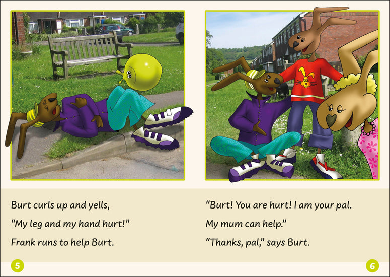 Dandelion Readers Vowel Spellings Level 1 – Phonic Books UK