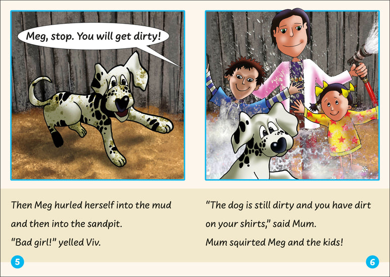 Dandelion Readers Vowel Spellings Level 2 – Phonic Books UK