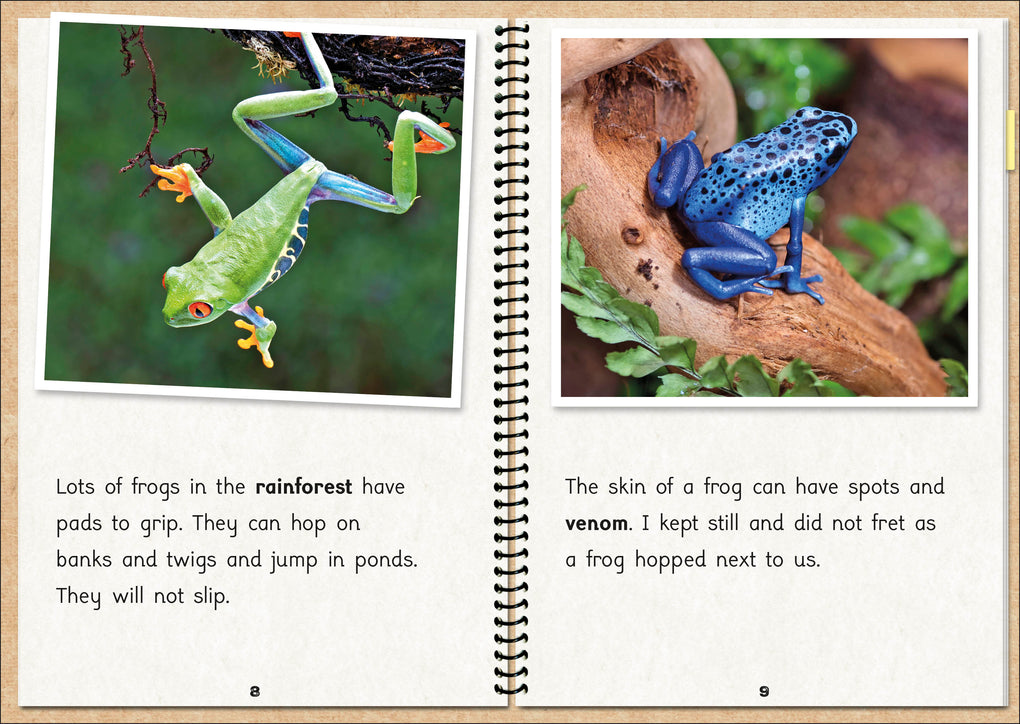 The Fact Files – Phonic Books UK