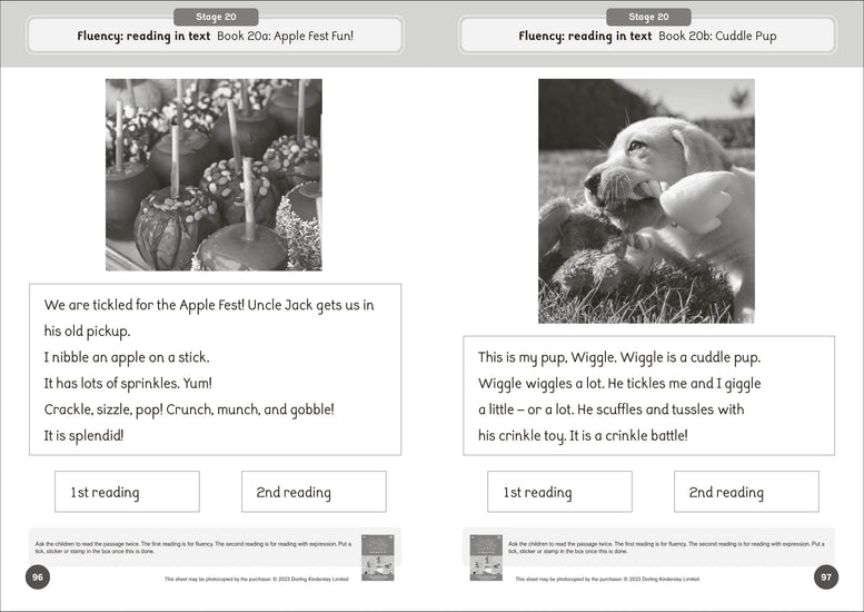 Dandelion World Reading and Writing Activities for Stages 16-20 ...